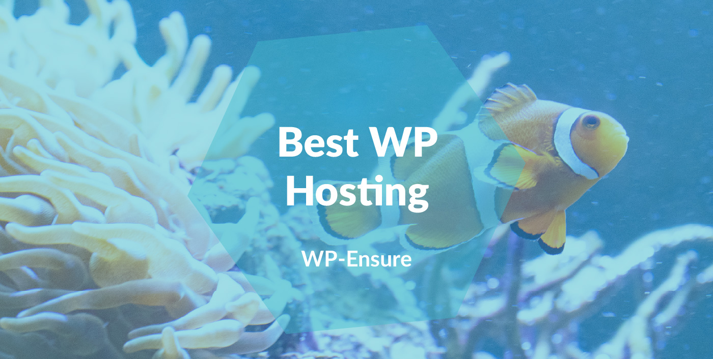 What's the best WordPress hosting? | WP-Ensure